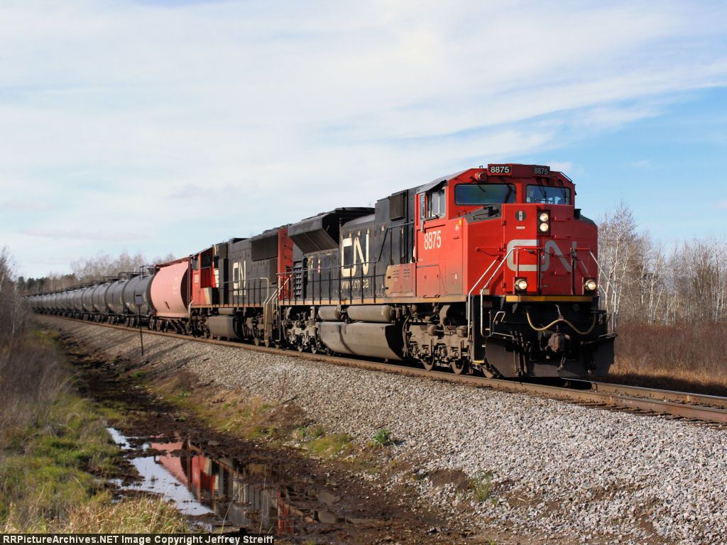 CN 8875